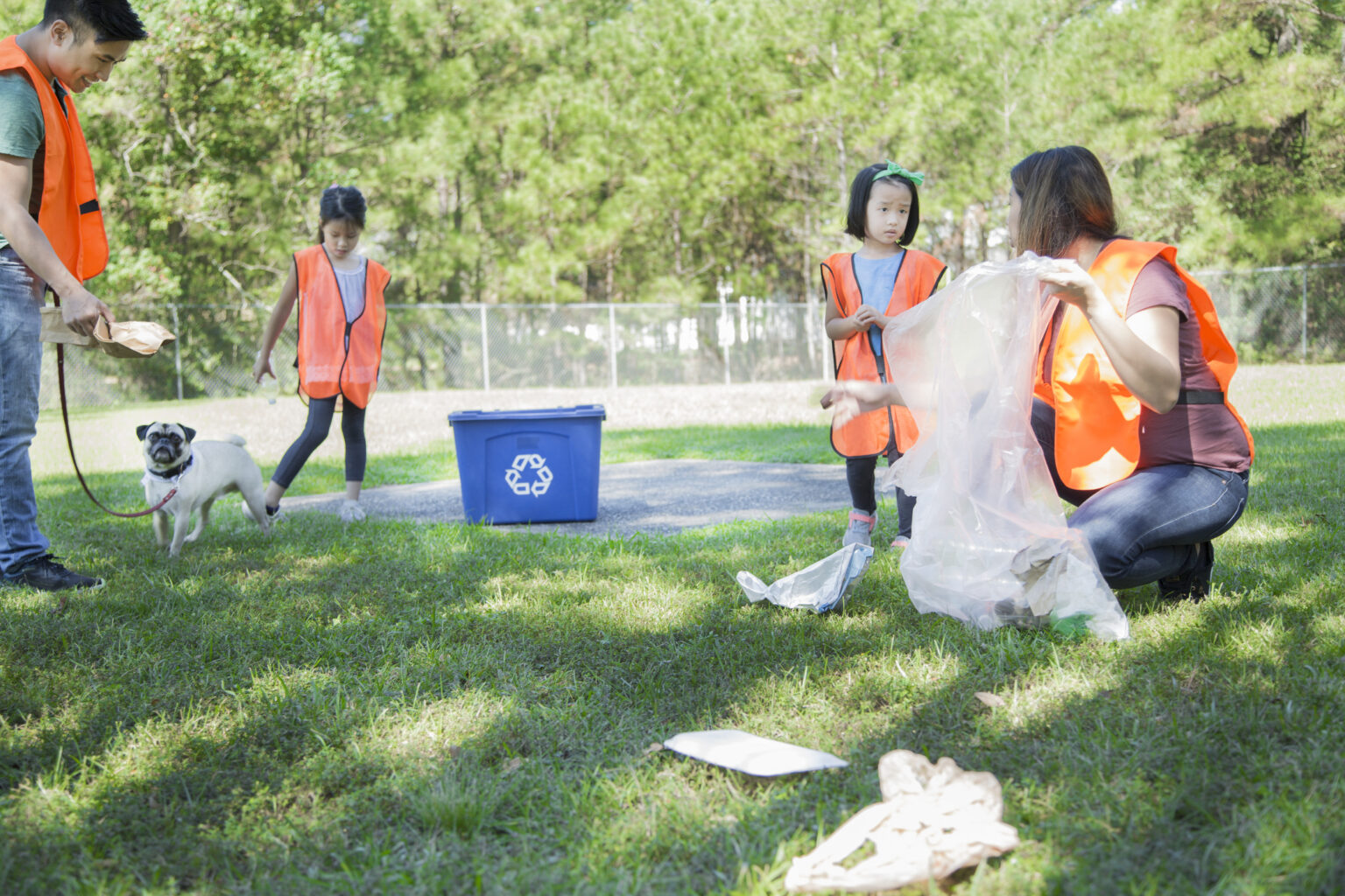 Clean Local Parks | Ways Your Family Can Help Clean Local Parks